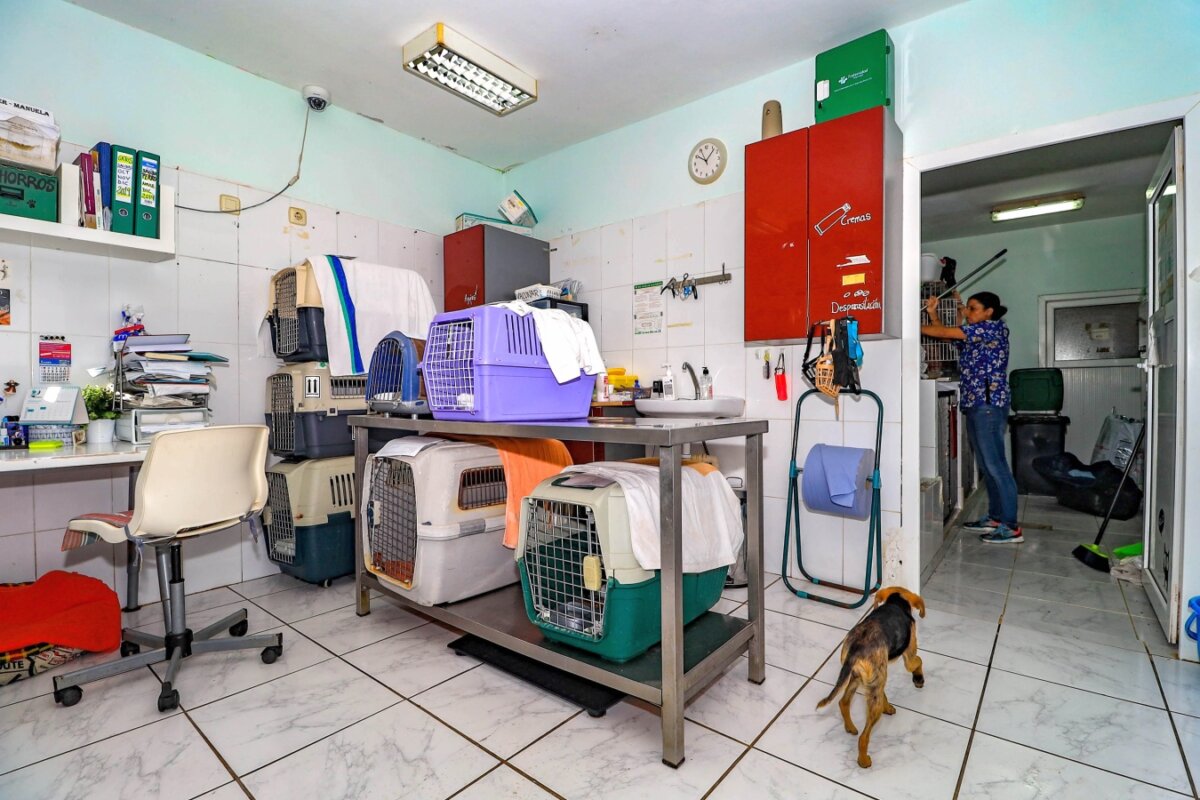 Instalaciones - Sara Protectora