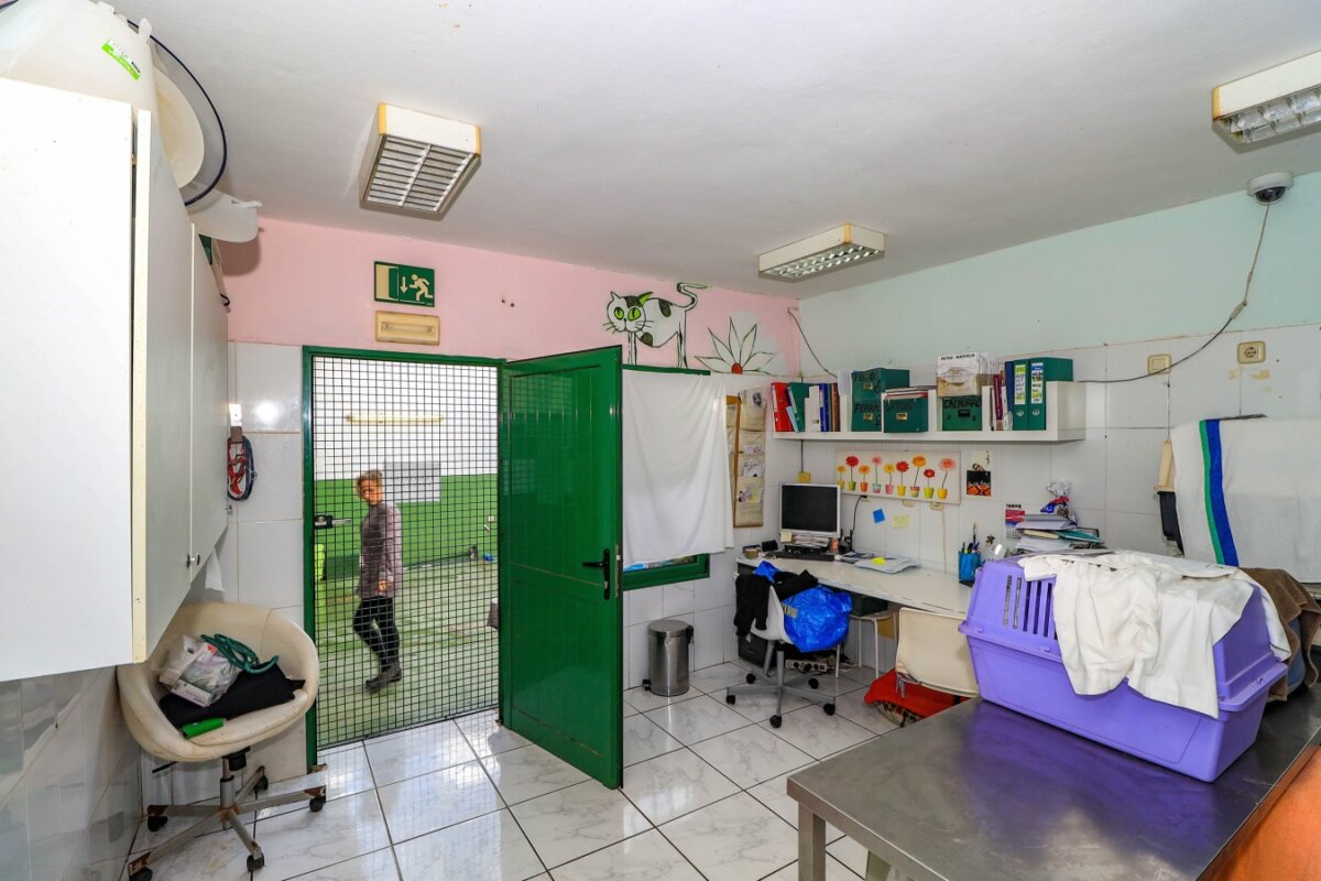 Instalaciones - Sara Protectora