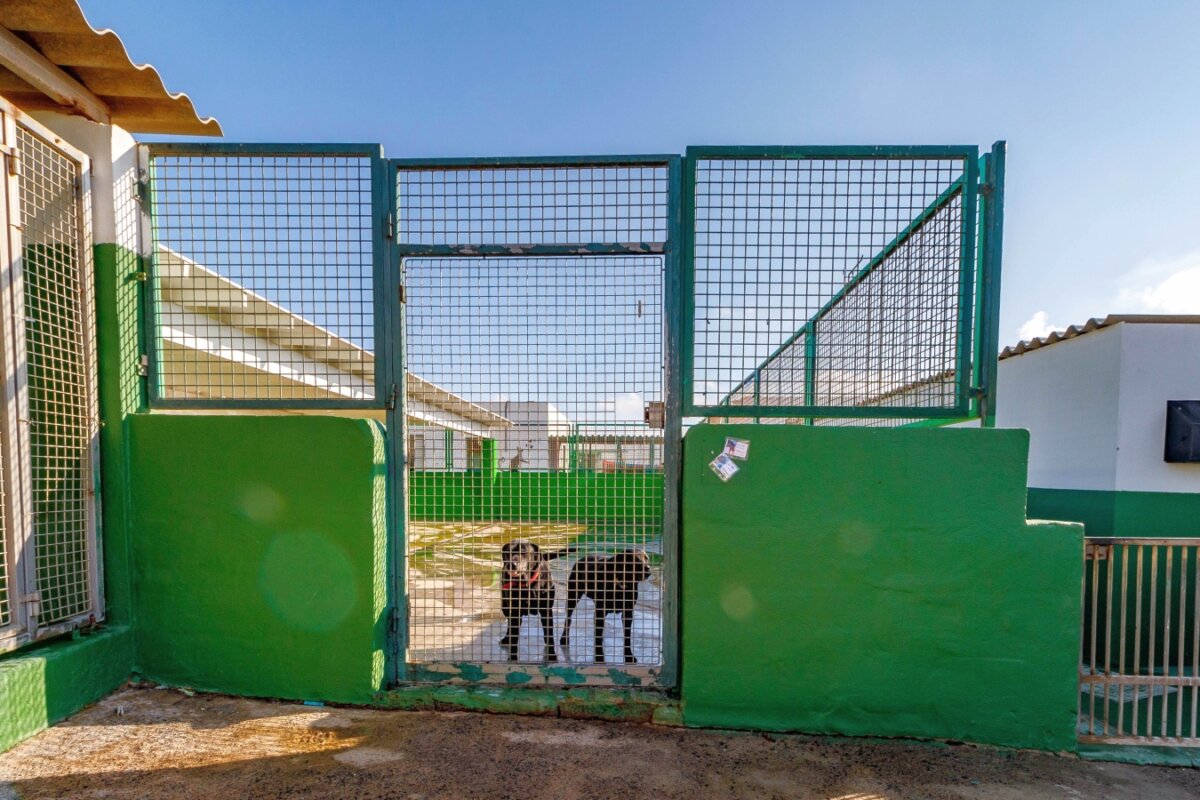 Facilities - Sara Protectora