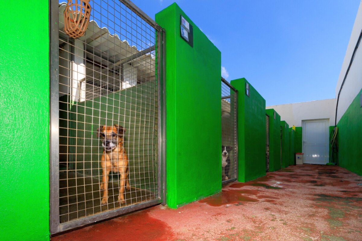Facilities - Sara Protectora